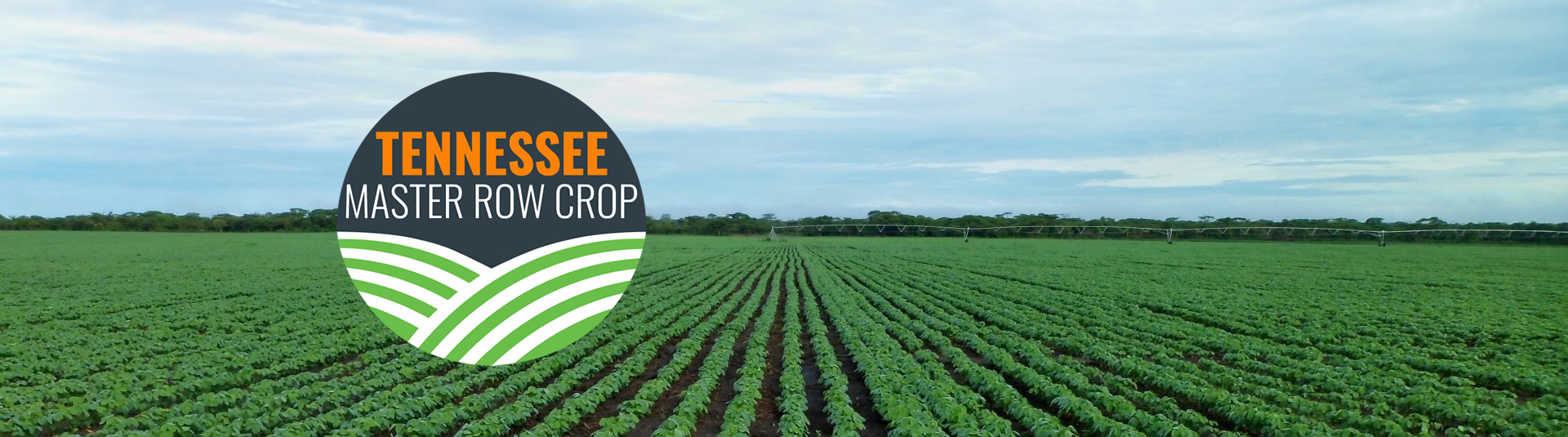 Tennessee Master Row Crop Producer | Tennessee Master Row Crop Producer